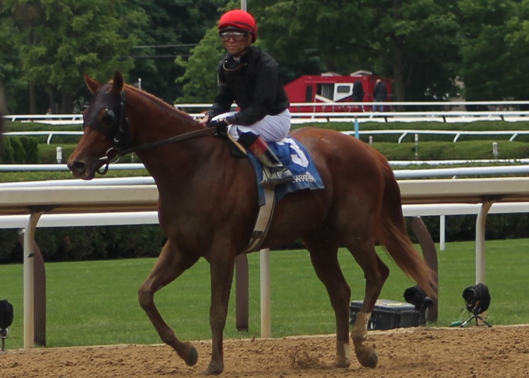 Promising Phipps Colt Pentathlon Chasing First Score – Phipps Stable Fan