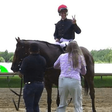 Phipps Stable Fan – Official blog of Phipps Stable, a private ...