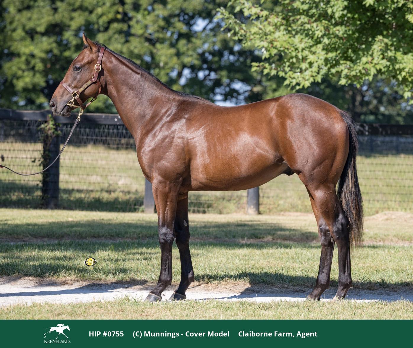Phipps Stable Fan – Official blog of Phipps Stable, a private ...