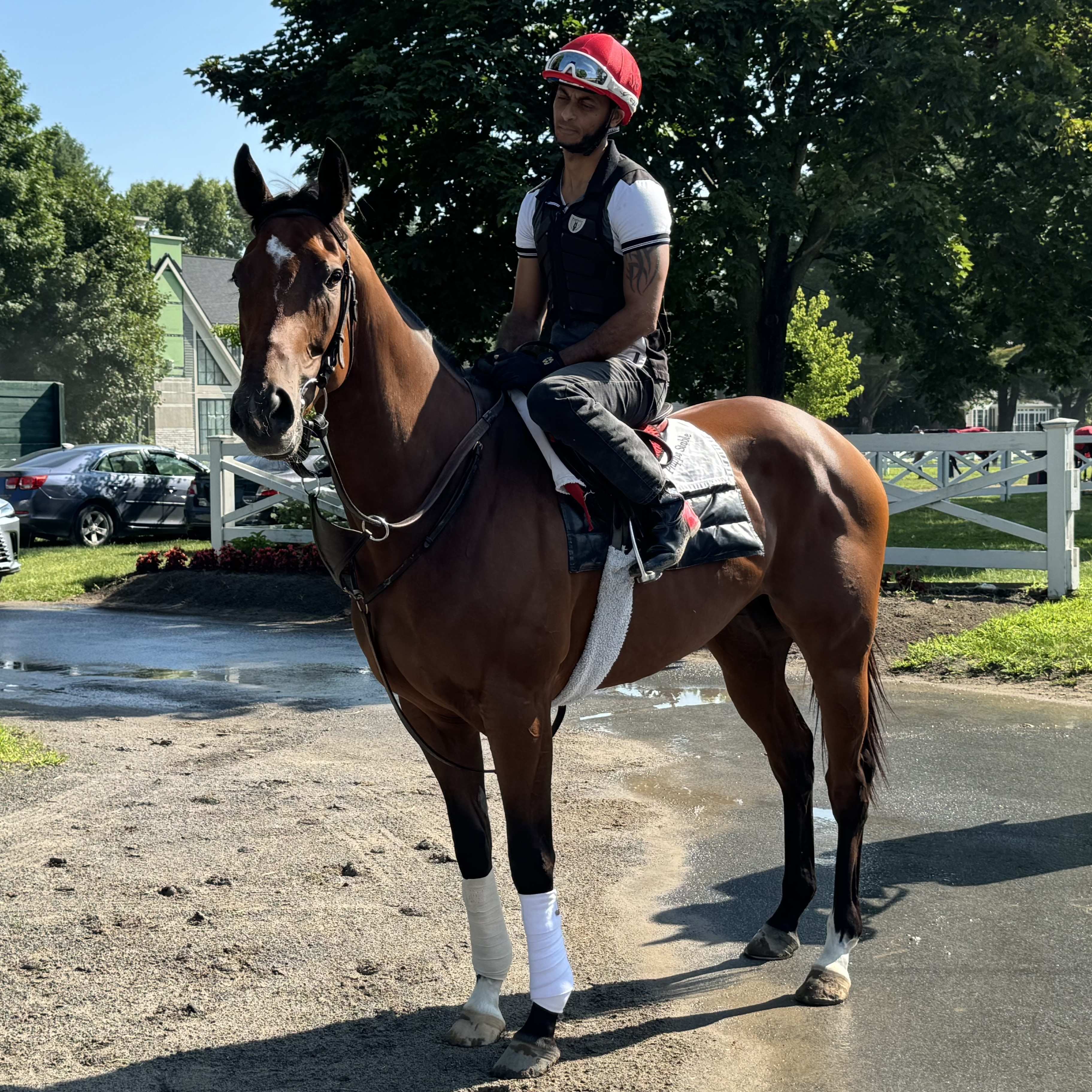 Self Confident on a Two-Race Win Streak for Saratoga Start – Phipps ...
