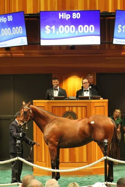 Saratoga Sale Features Ten Yearlings from Phipps Families – Phipps ...