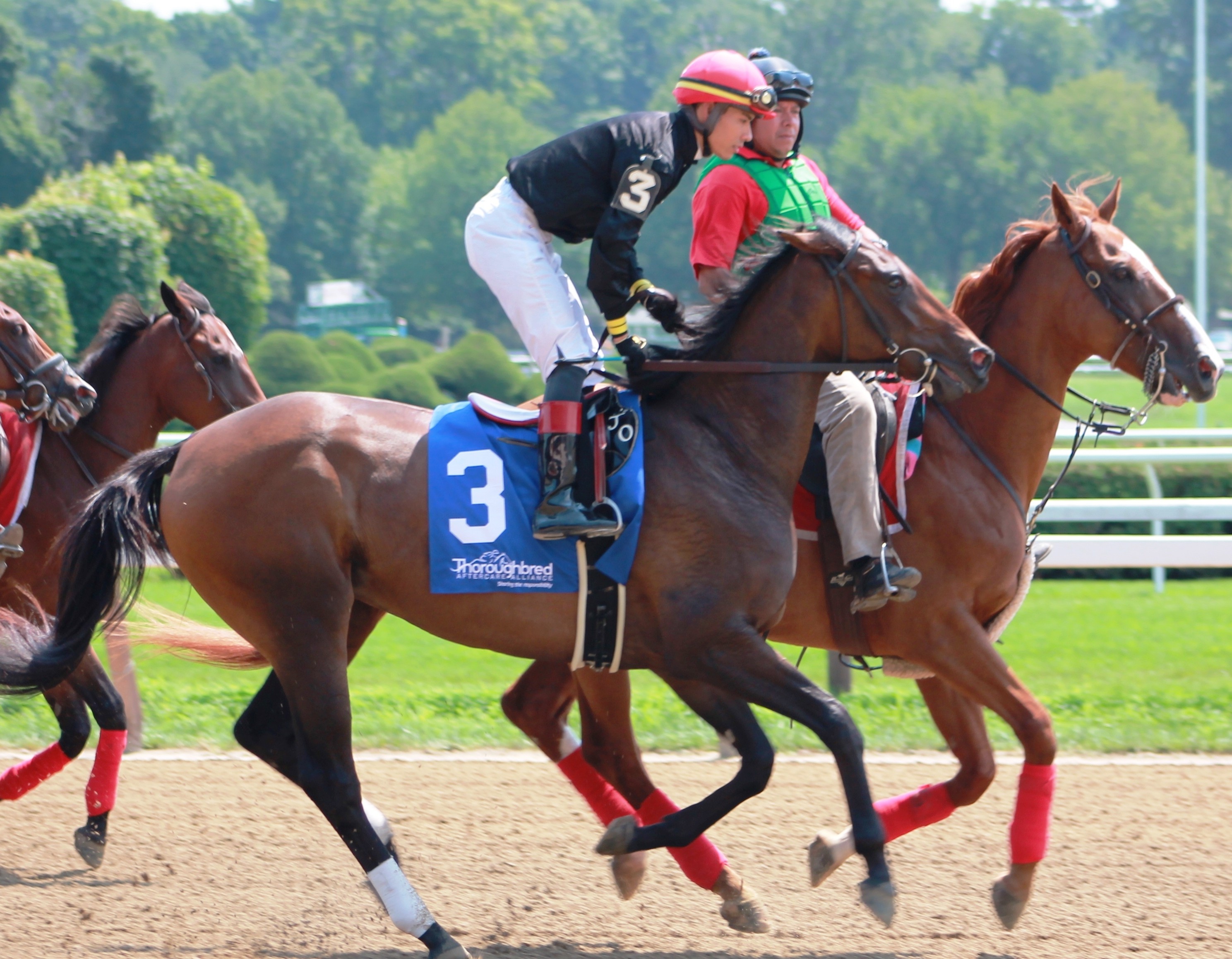 Mare Monday: Dance Club Carries on the Elite Family of Personal Ensign ...